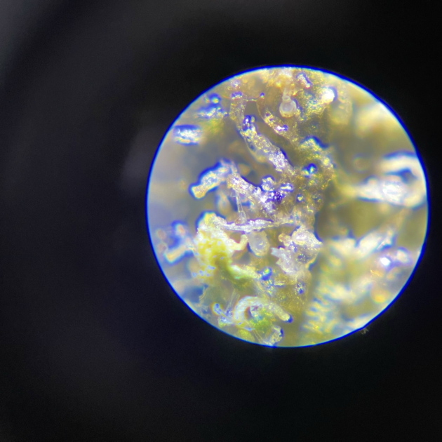 Eyrah - 20/07/2023 - 20:00 | Rinse FM