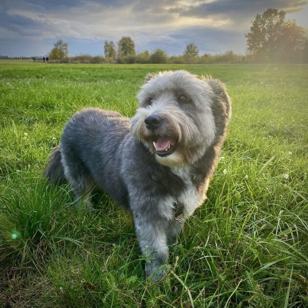 Amy Dabbs Dabbs Traxx - Garage Special | Rinse FM