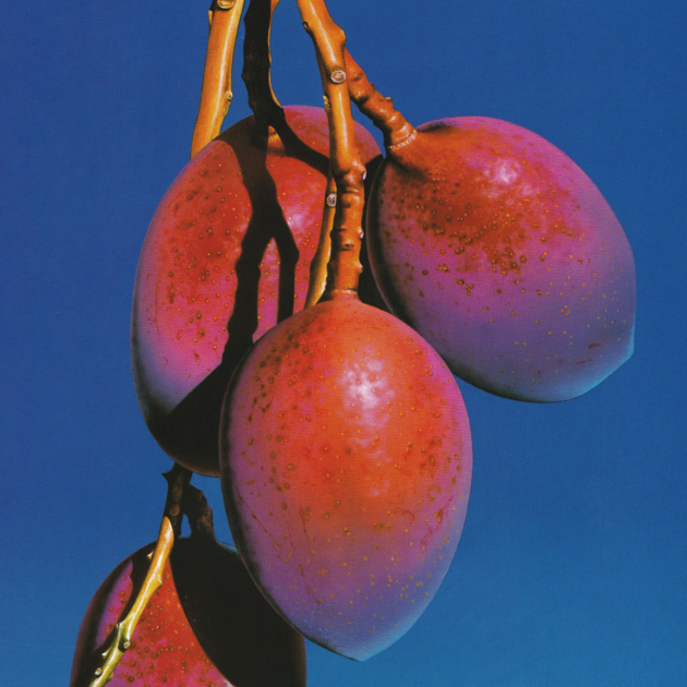 Borne Fruits with Amaliah Best Shows of 2022: Borne Fruits… | Rinse FM